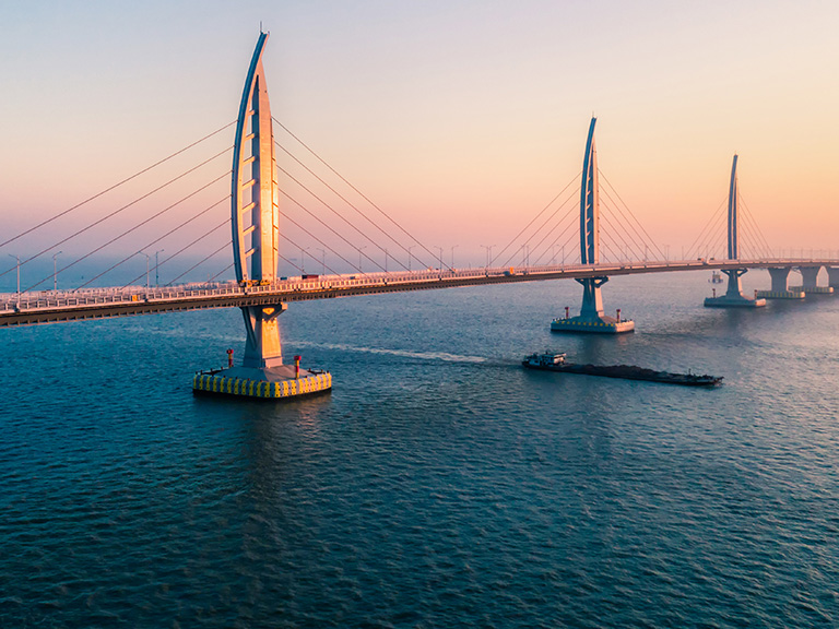 Shareholder and dividend information | HSBC Holdings plc