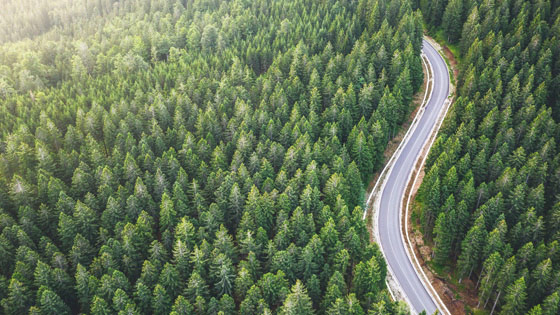 HSBC sets out net zero ambition | HSBC news | HSBC Holdings plc