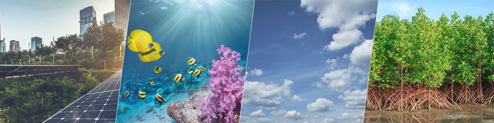 Our climate strategy | HSBC Holdings plc