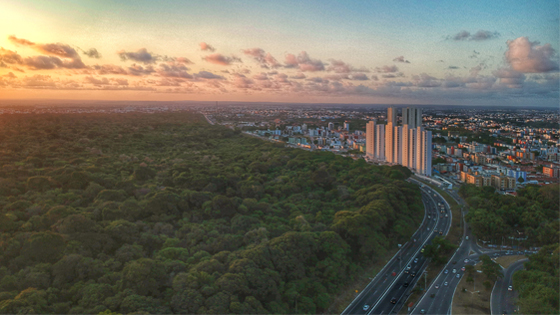 Our climate strategy | HSBC Holdings plc